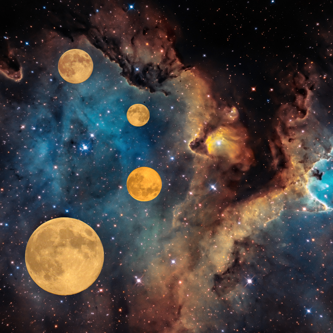 Signs of Life: Alan Duff Berman with Stacey Fraser and Meagan Martin ...